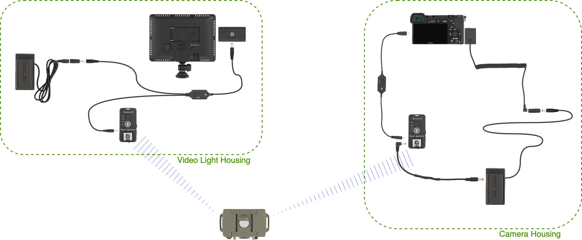 Sony Video Camera Trap with a Wireless LED Video Light - Camtraptions